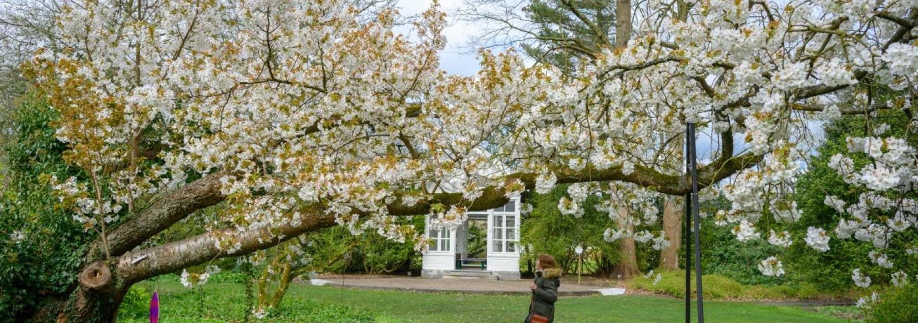 5 tips voor een leuke paasmaandag - UiTinVlaanderen - UiTinVlaanderen